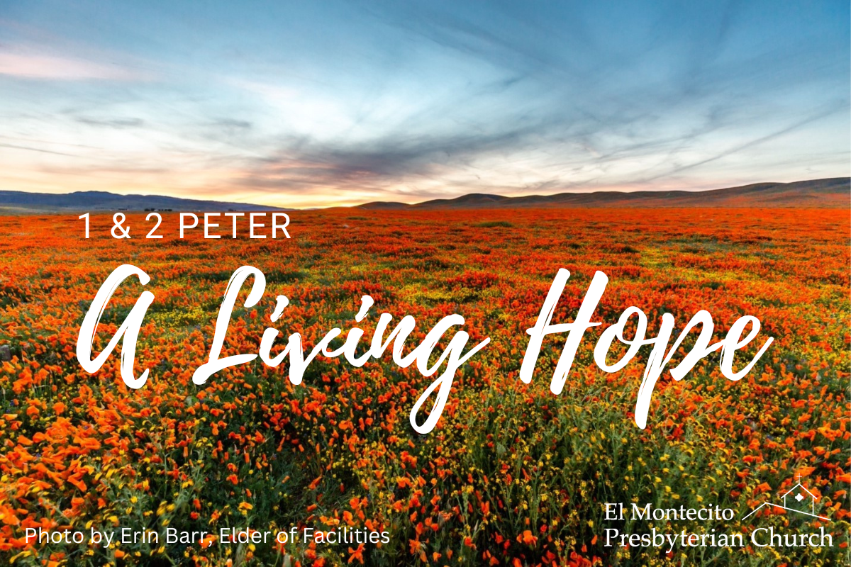 04-30 The Church That Affirms Authority – El Montecito Presbyterian Church